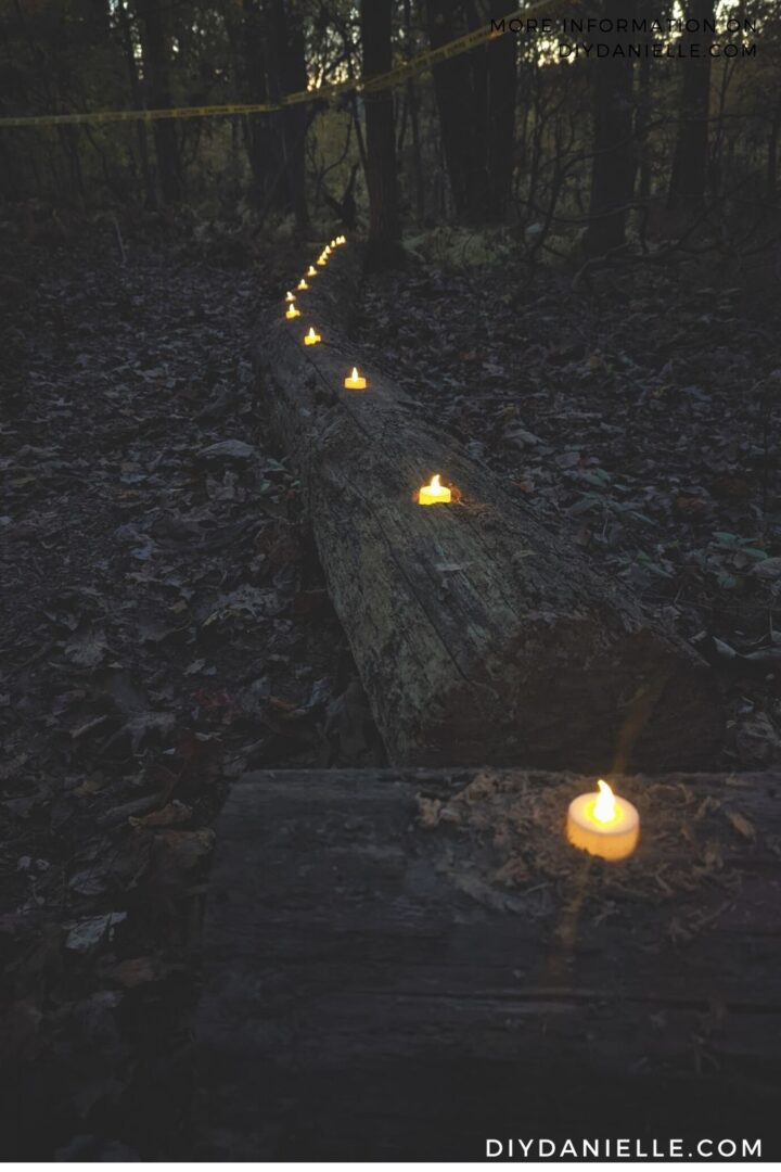DIY Haunted Trail for Halloween - DIY Danielle®