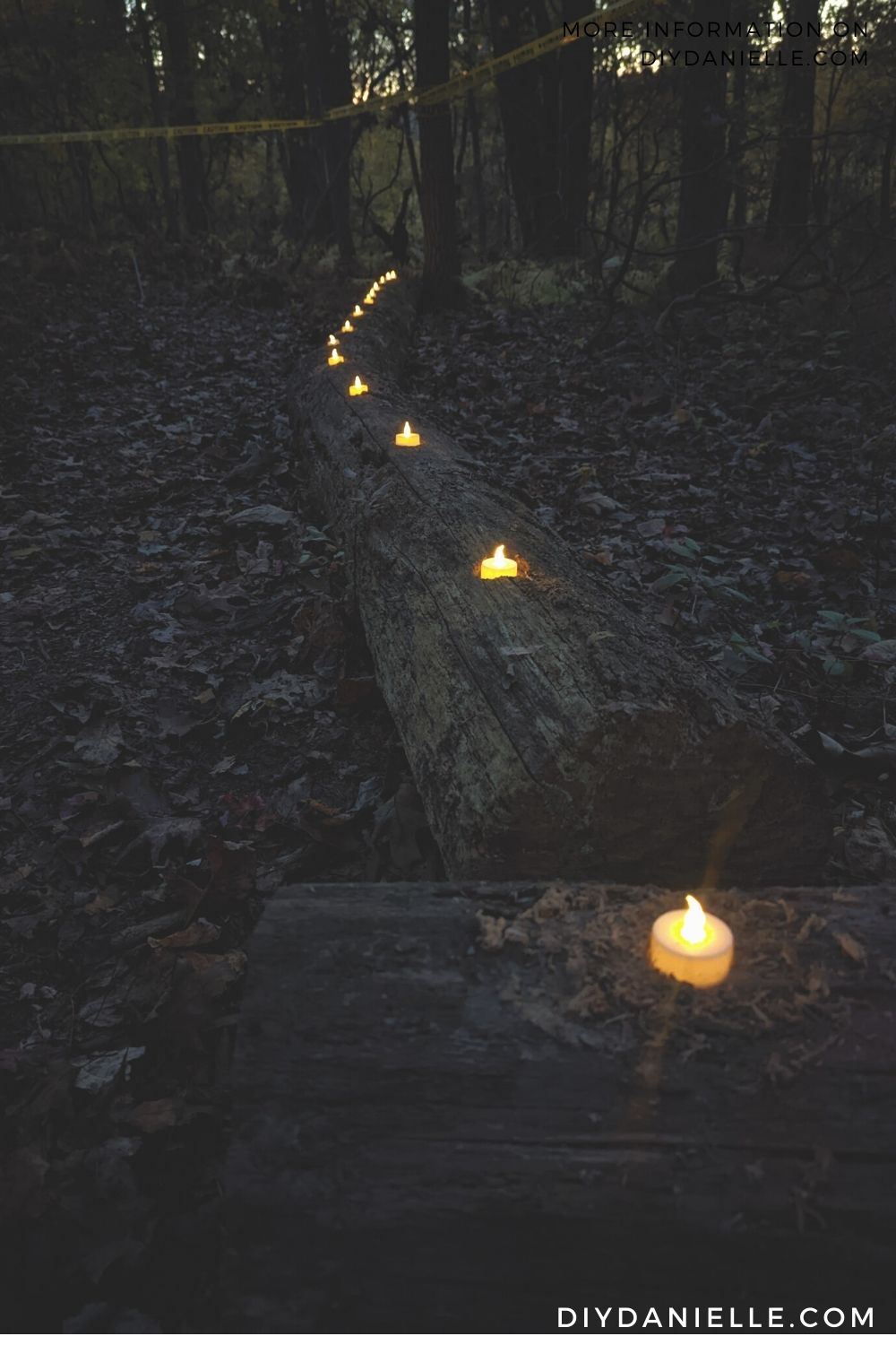 Pathway Lighting on an Old Log - DIY Danielle®