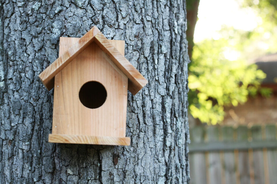 21 Creative Ways to Make Your Own Bird Houses
