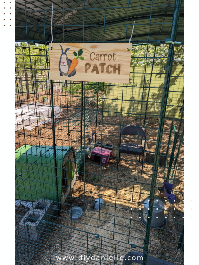 Create Unique Scratch Paper Art with a Laser Cutting Project