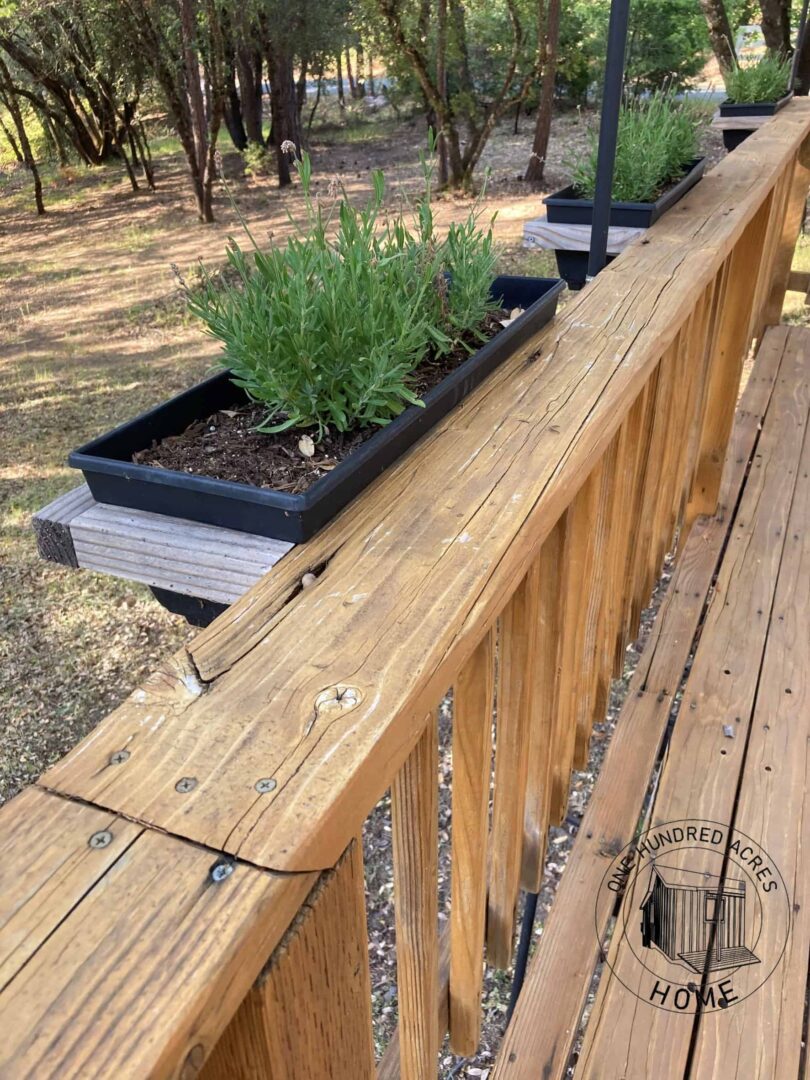 Elevate Your Curb Appeal With Beautiful DIY Deck Rail Planters
