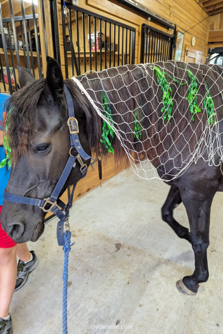 DIY Horse Costume: Kelpie Halloween Costume - DIY Danielle®