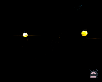 Floating Pumpkins: Outdoor Halloween Decoration - DIY Danielle®