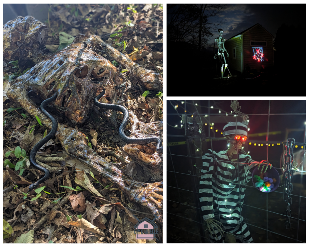 DIY Halloween Trail: The 2023 Annual Tour - DIY Danielle®