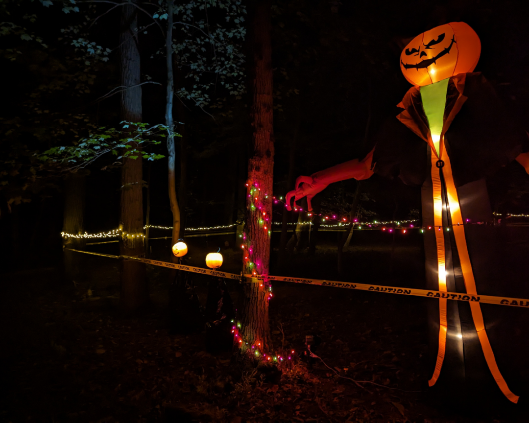 DIY Halloween Trail: The 2023 Annual Tour - DIY Danielle®