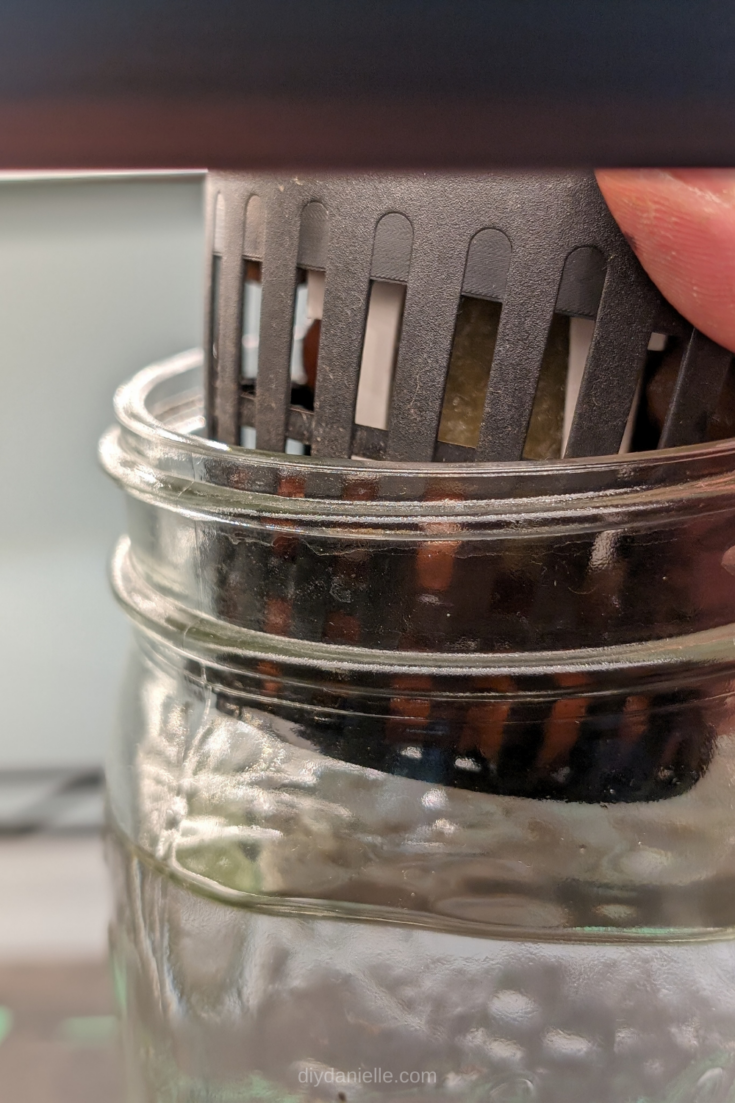 DIY Hydroponics: Setting up an Easy Mason Jar Garden - DIY Danielle®