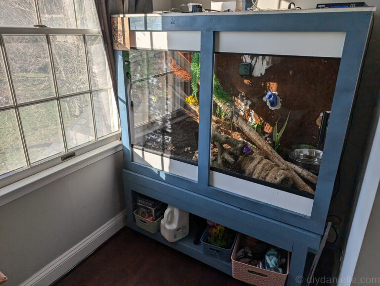 DIY Bioactive Reptile Enclosure for a Ball Python - DIY Danielle®