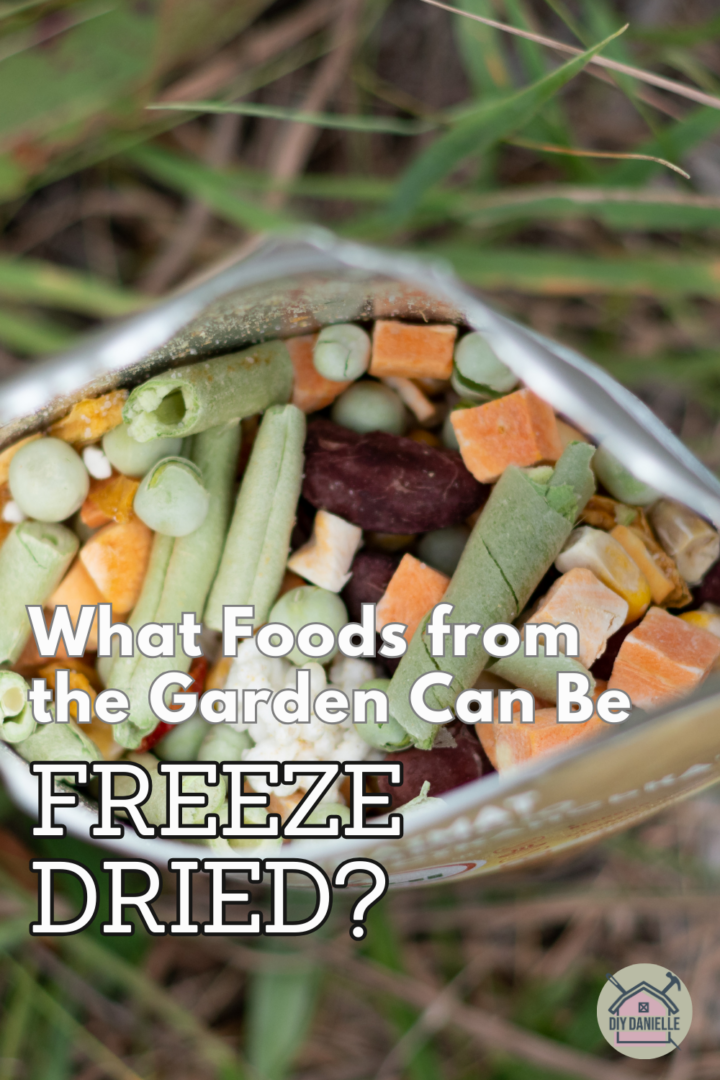 Freeze Drying: What is it and What Foods from the Garden Can Be Freeze ...