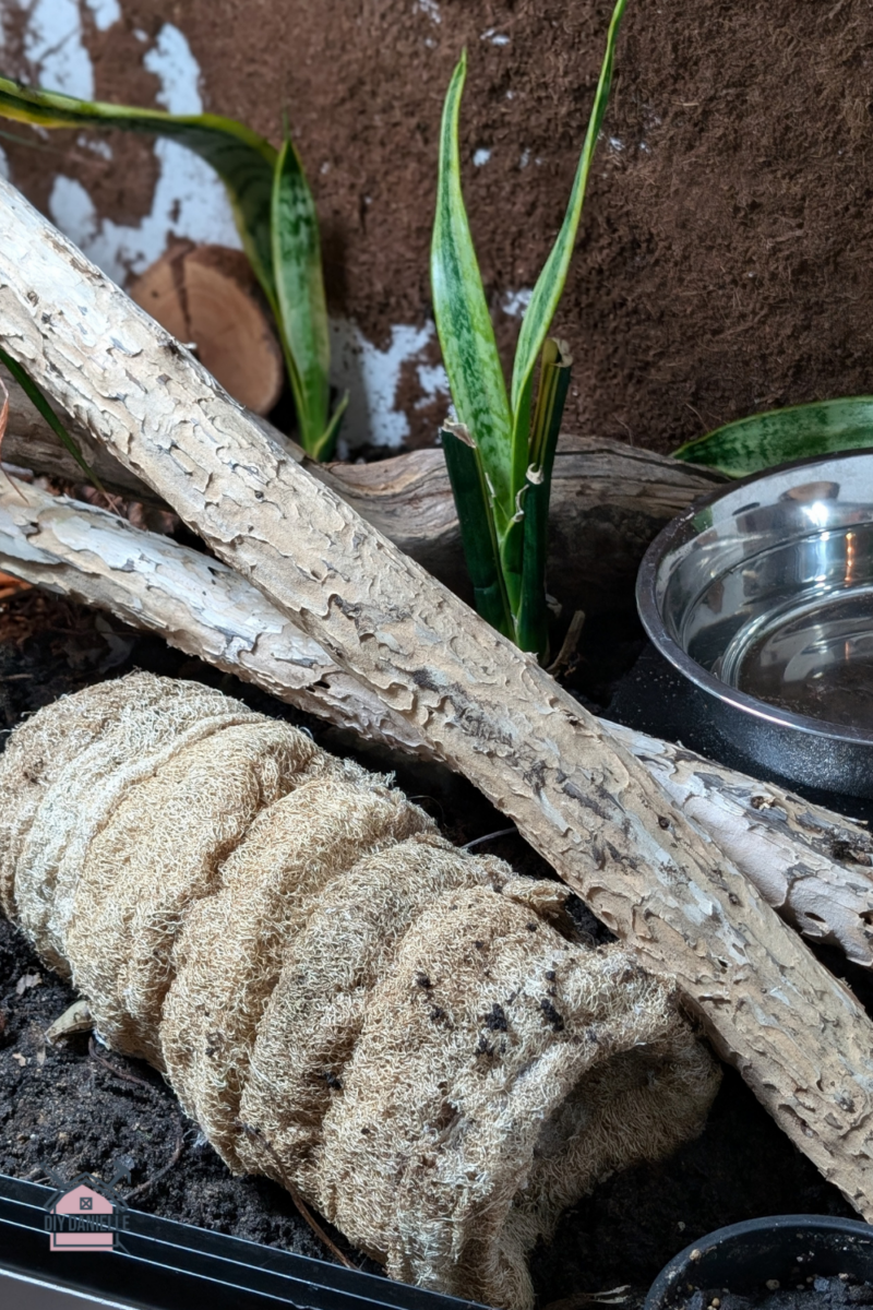 DIY Snake Hide for Increased Humidity Using Luffa and PVC - DIY Danielle®