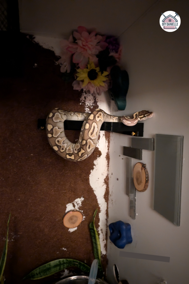3D Print File: Snake Basking Ledge for Reptile Enclosure Corner