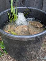 How to Build a Mini Pond Container Garden - DIY Danielle®