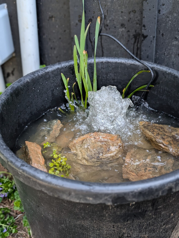 How to Build a Mini Pond Container Garden - DIY Danielle®