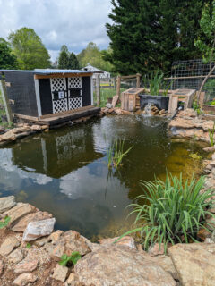 DIY Bog Filter - DIY Danielle®