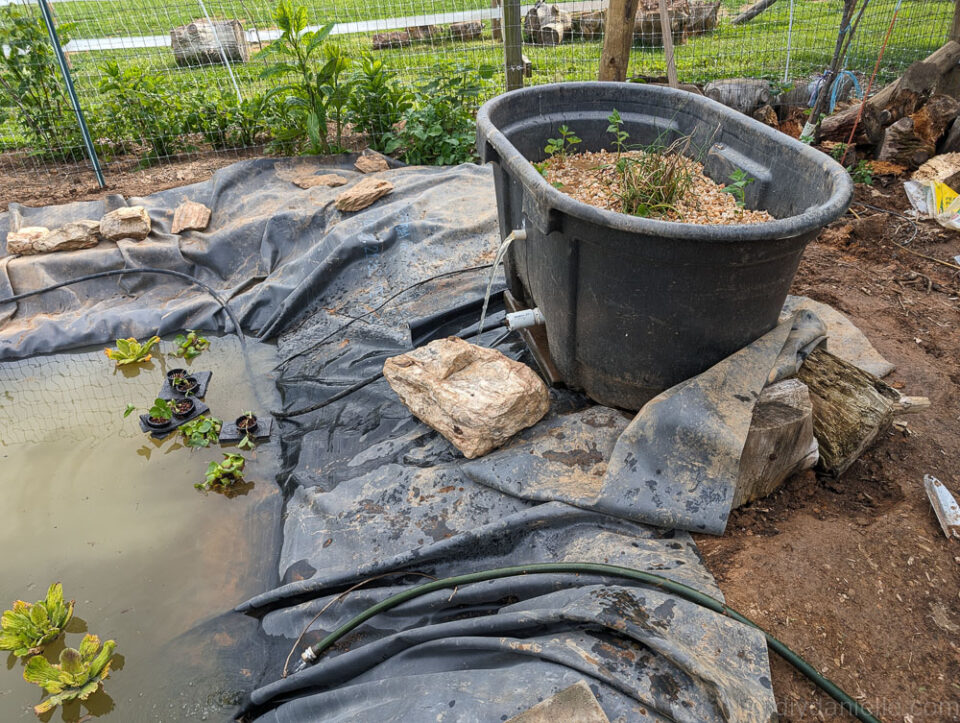 DIY Bog Filter - DIY Danielle®