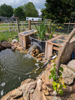 DIY Bog Filter - DIY Danielle®