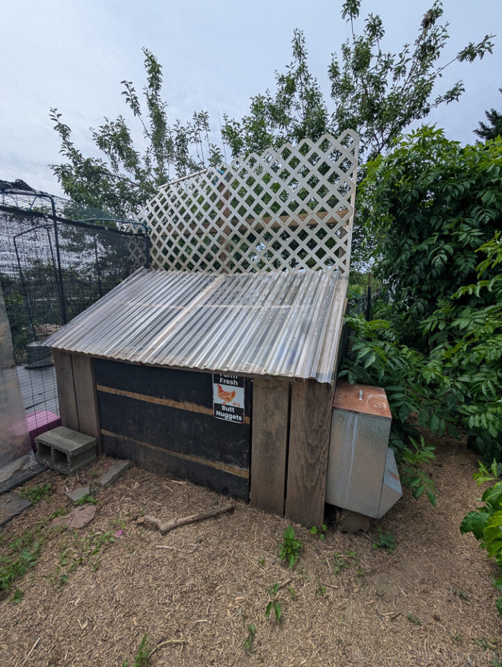 DIY Feed Shed: Store Farm Feed Out of the Elements - DIY Danielle®