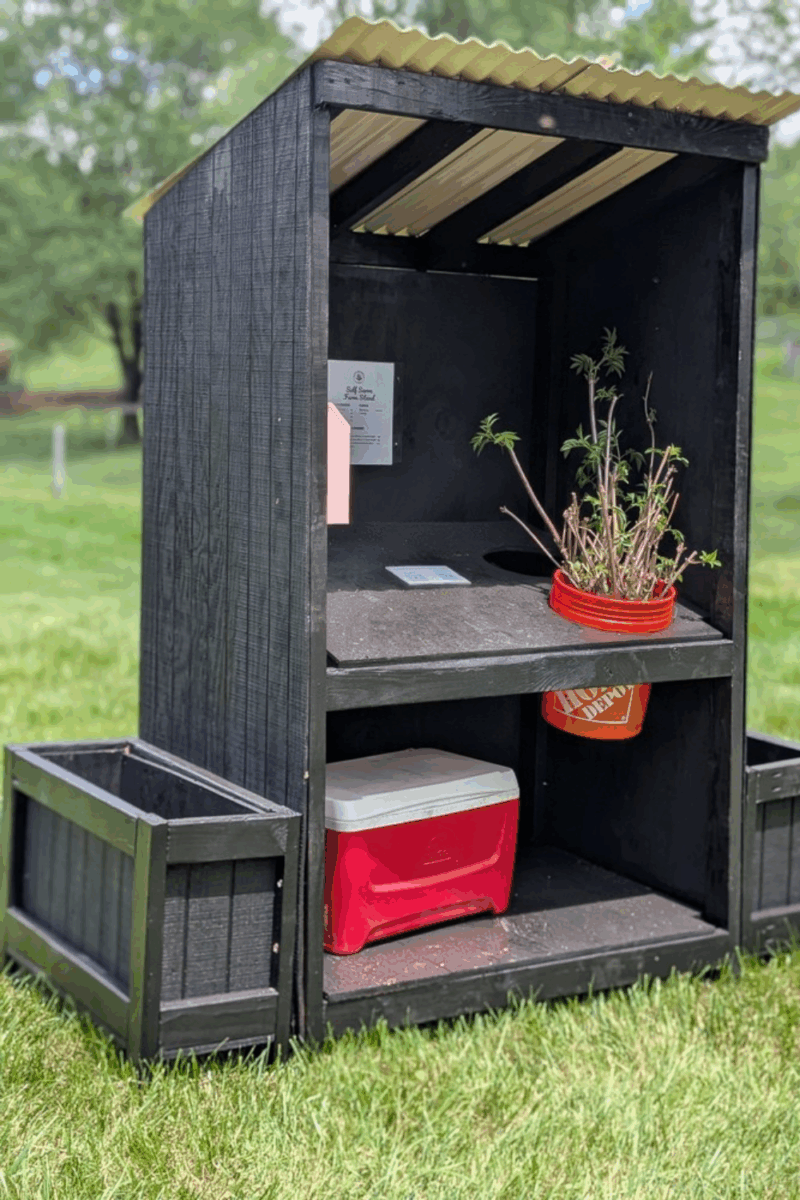 DIY Farm Stand: For Selling Eggs & Other Farm Produce - DIY Danielle®