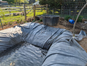 DIY Bog Filter - DIY Danielle®