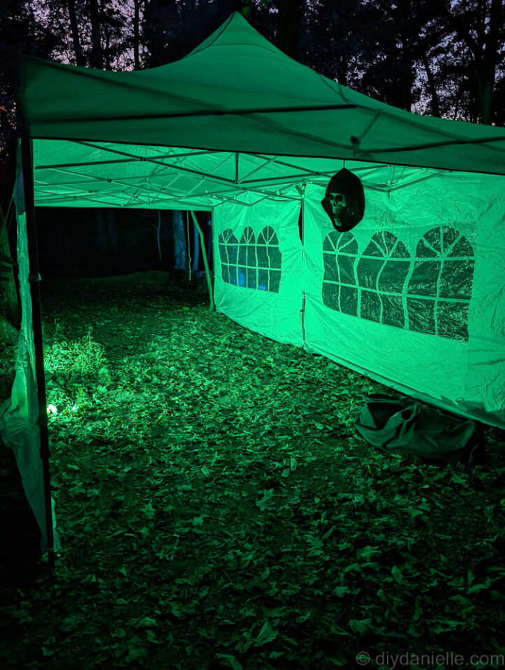Spooky Swamp Halloween Decoration - DIY Danielle®