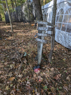 Spooky Swamp Halloween Decoration - DIY Danielle®