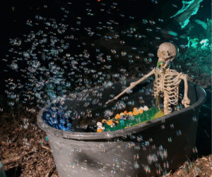 DIY Skeleton Decorations to Haunt Your Home This Halloween - DIY Danielle®