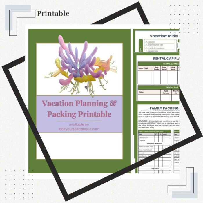 DIY Bioactive Reptile Enclosure for a Ball Python - DIY Danielle®