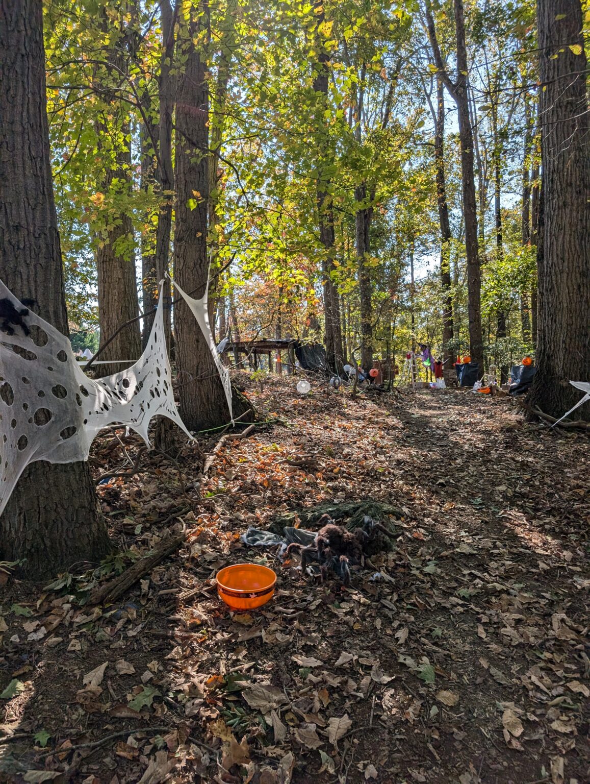 Spider Decorations for Halloween to Give Off Creepy, Crawly Vibes