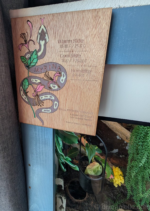 DIY Bioactive Reptile Enclosure for a Ball Python - DIY Danielle®