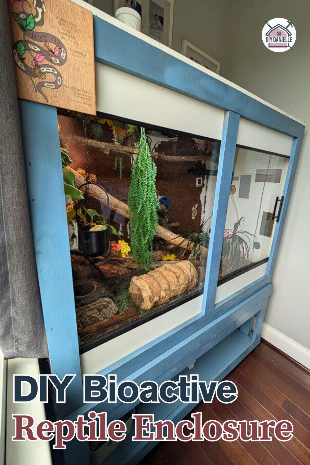 DIY Bioactive Reptile Enclosure for a Ball Python - DIY Danielle®