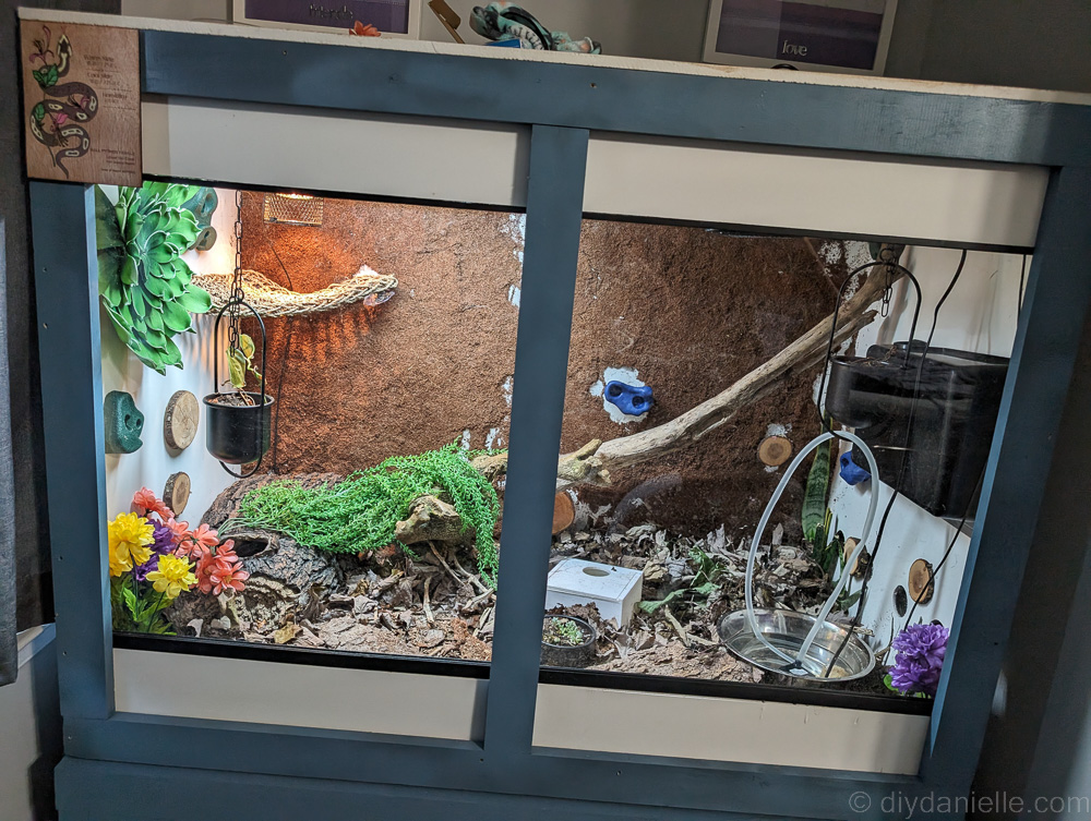 Ball Python enclosure Archives - DIY Danielle®