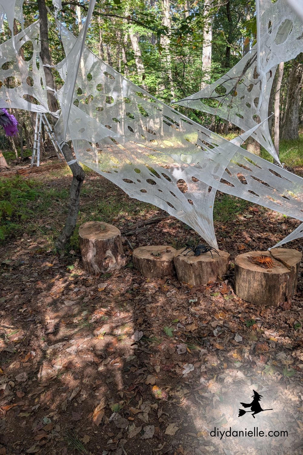 Spider Decorations for Halloween to Give Off Creepy, Crawly Vibes