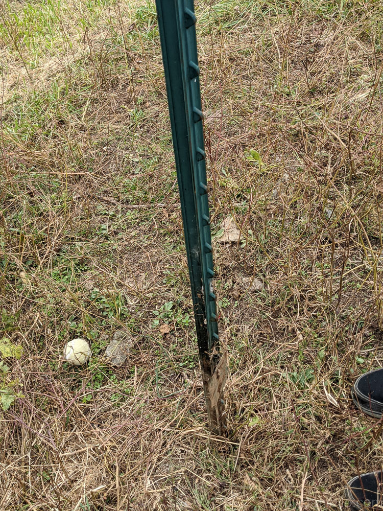 How to Install T Posts - DIY Danielle®
