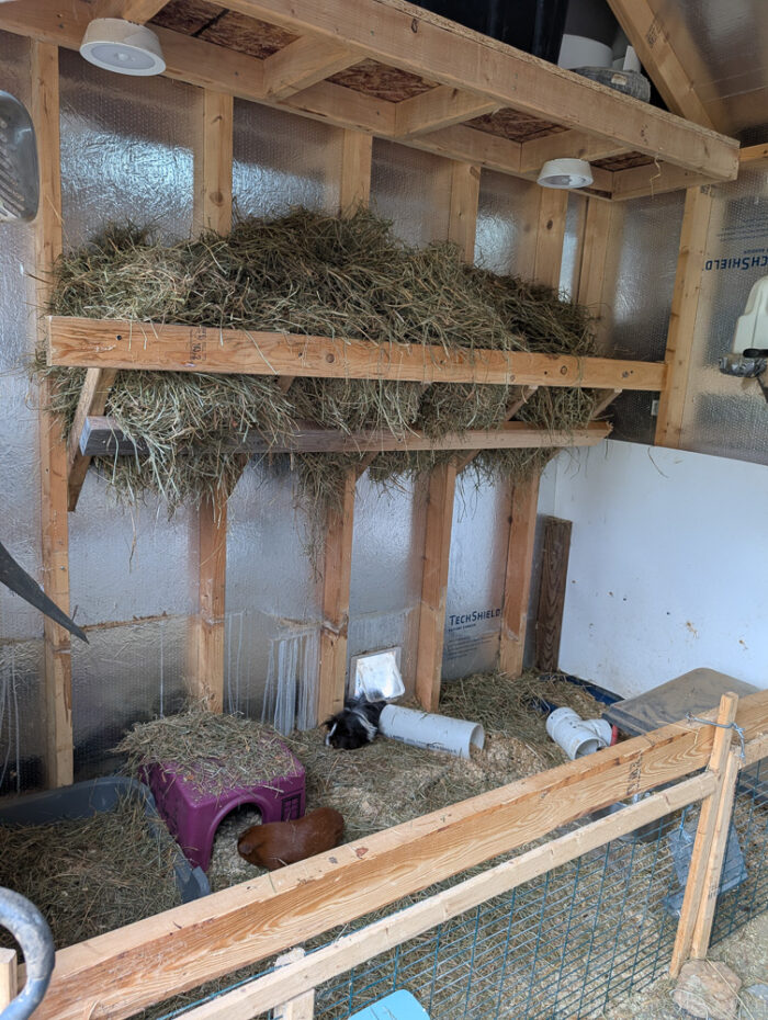 DIY Wall Mounted Hay Feeder Archives - DIY Danielle®